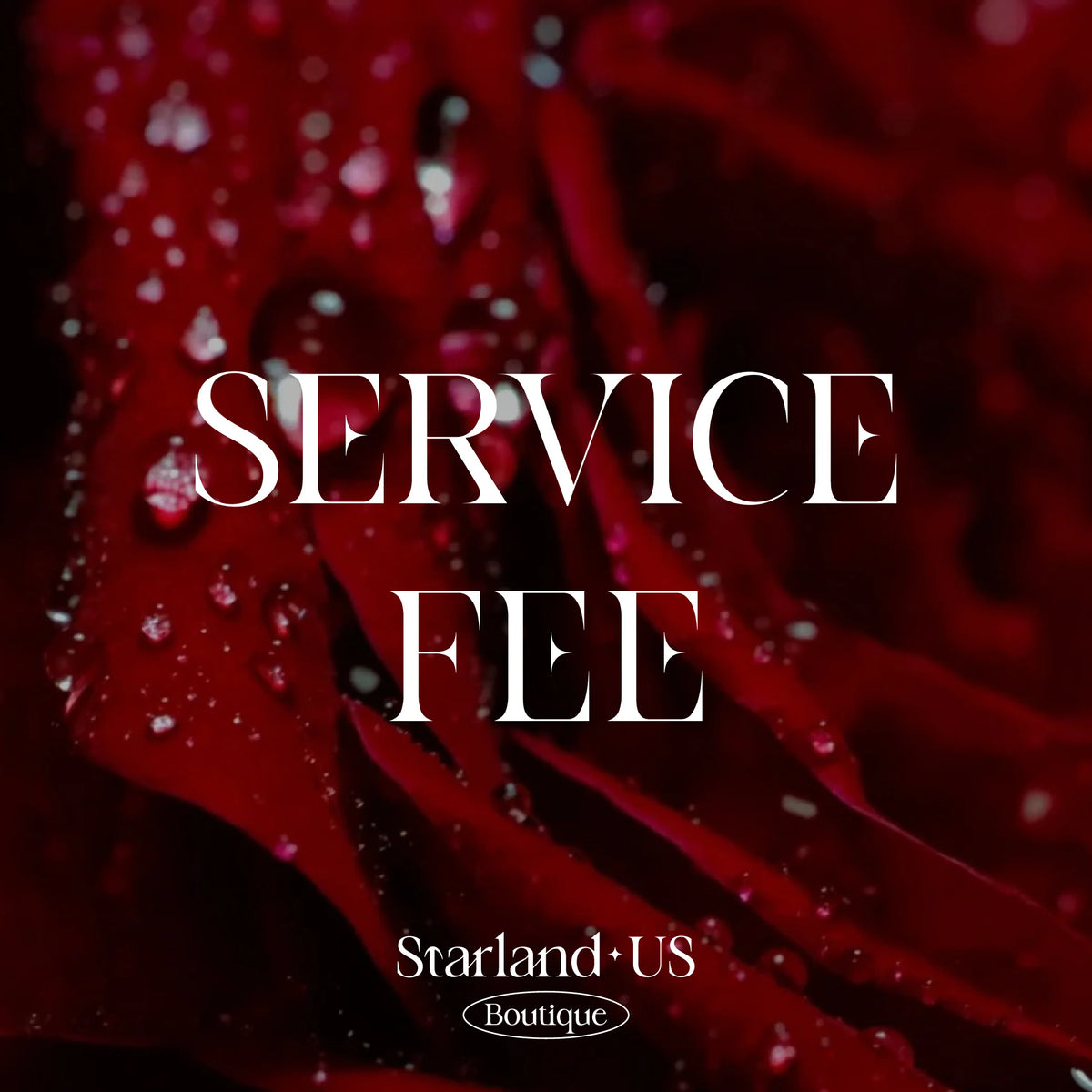 Custom Fee for Ben Sikora – StarlandUS